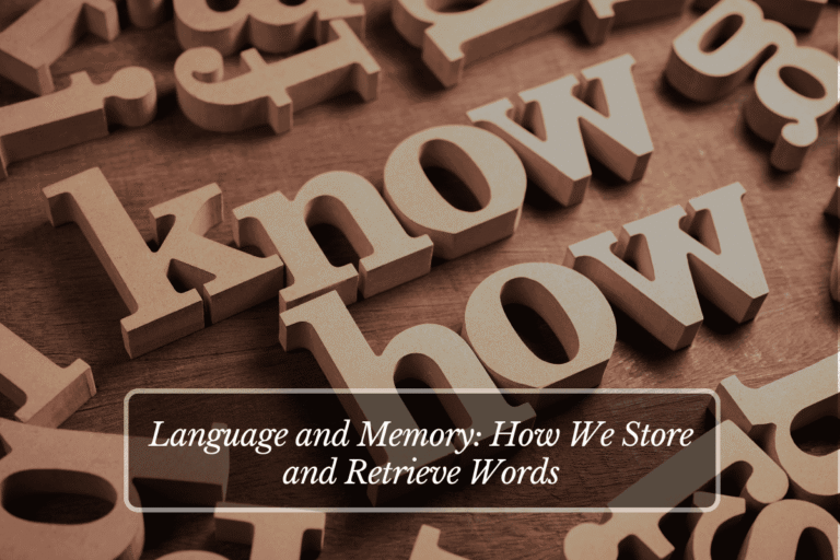 Language and Memory: How We Store and Retrieve Words